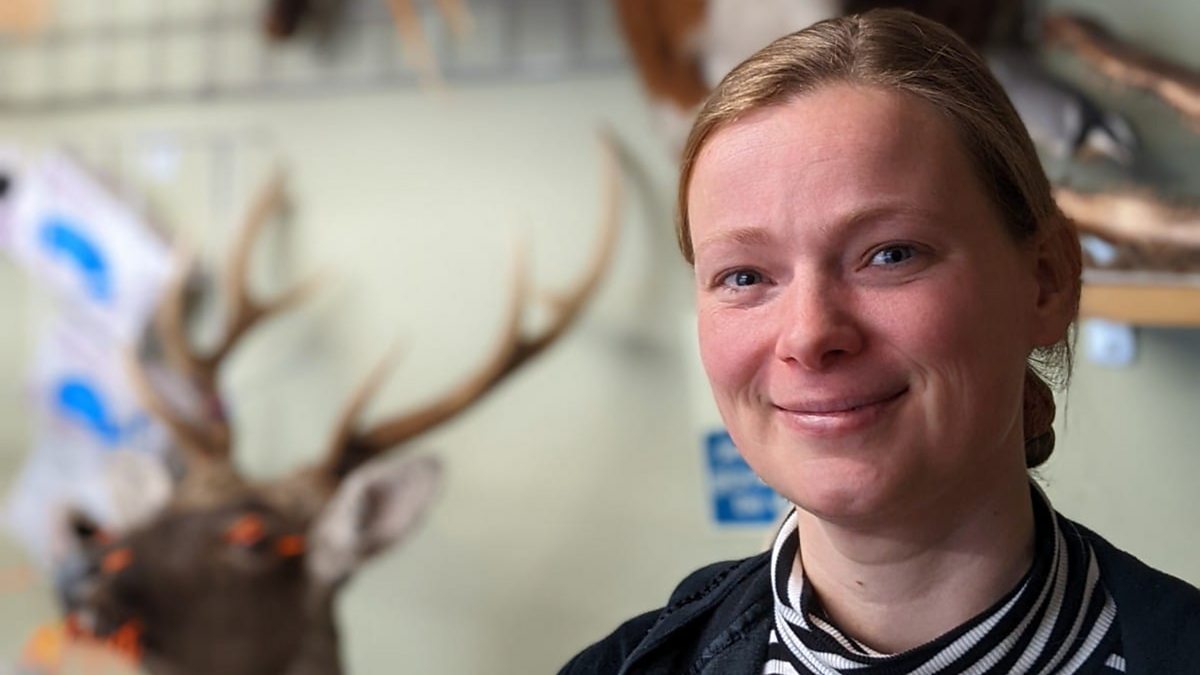 BBC Radio Ulster - Saturday with John Toal, My Piece of Sky ...