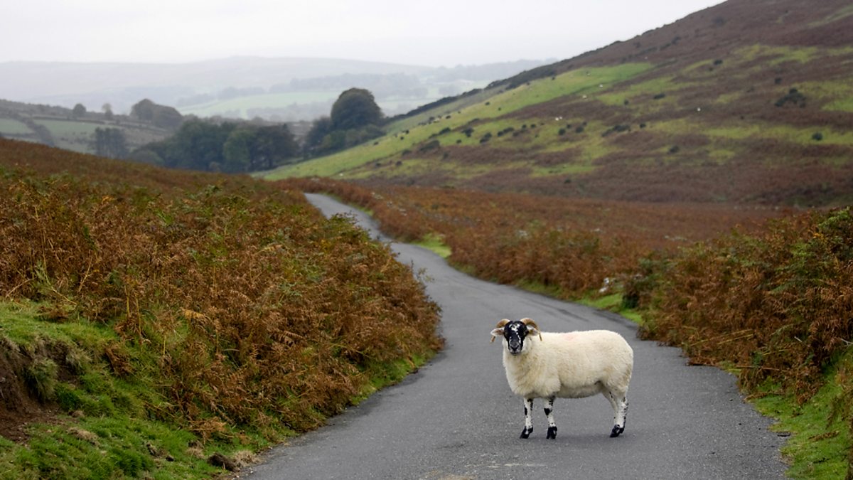 BBC Radio 4 Extra - Notes from a Small Island by Bill Bryson (Omnibus)