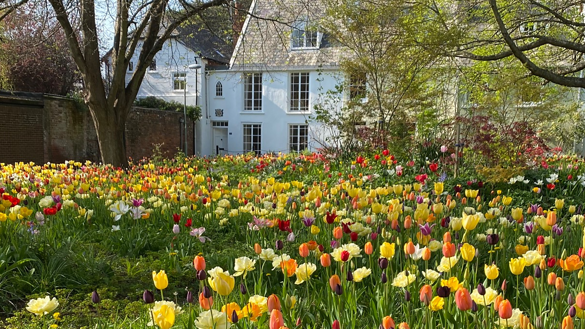BBC Radio Devon - Toby Buckland, 24/04/2022, Little Silver in Exeter is ...