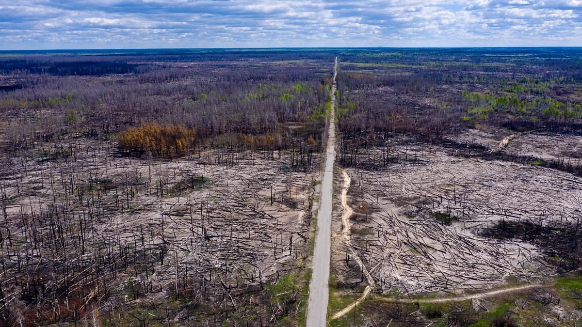 BBC Radio 4 - Costing the Earth, Ukraine: A War on Nature