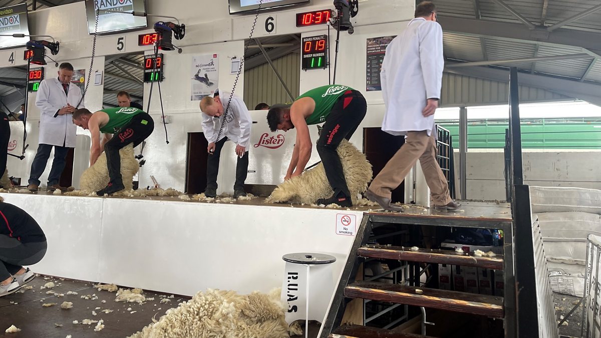 BBC Radio Ulster - Saturday with John Toal, Presented by Vinny Hurrell ...