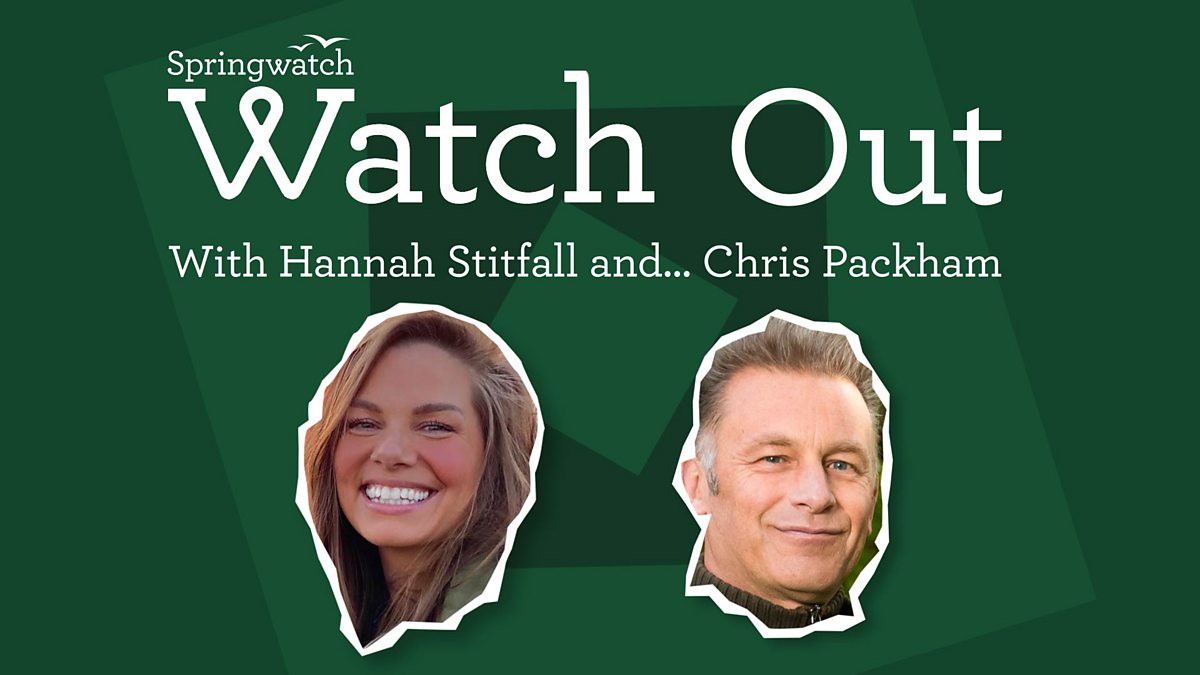 BBC Two - Springwatch, 2022, Watch Out with Hannah Stitfall and ...