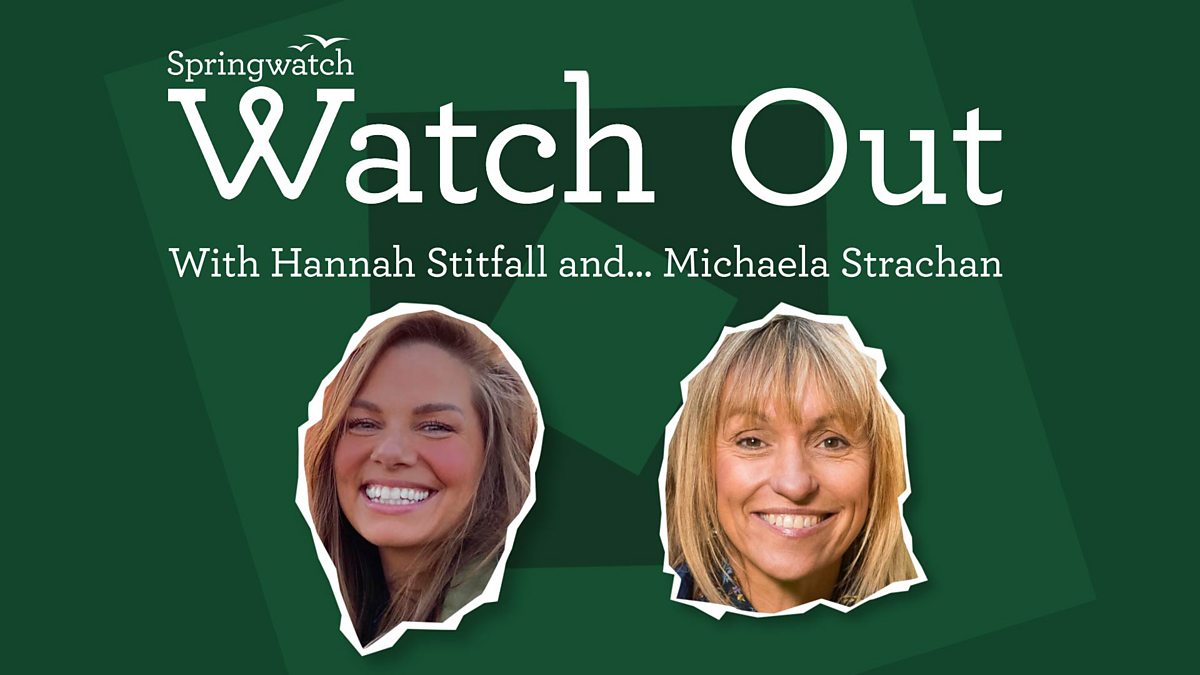 BBC Two - Springwatch, 2022, Watch Out with Hannah Stitfall and ...