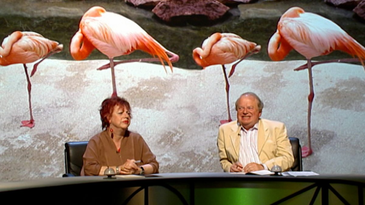 BBC iPlayer - QI - Series F: 10. Flora and Fauna