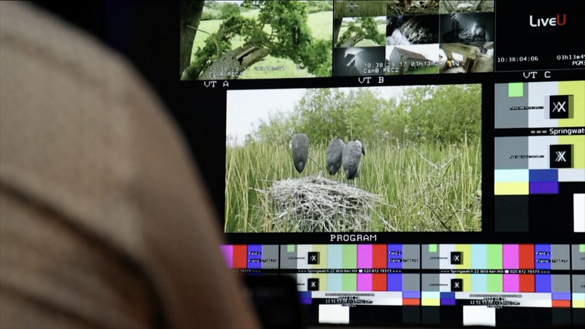 BBC Two - Springwatch, 2022, From BBC Click: "The cutting edge of green ...