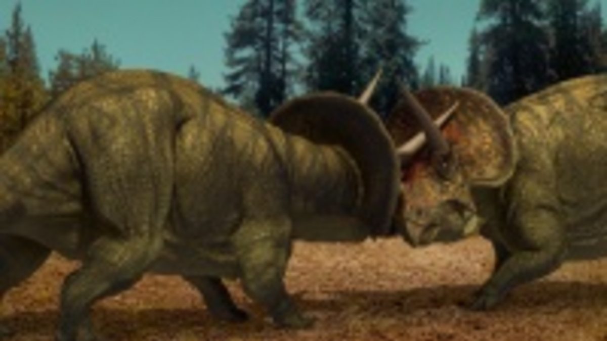 BBC Three Counties Radio - Danny Fullbrook, In what order do you eat ...