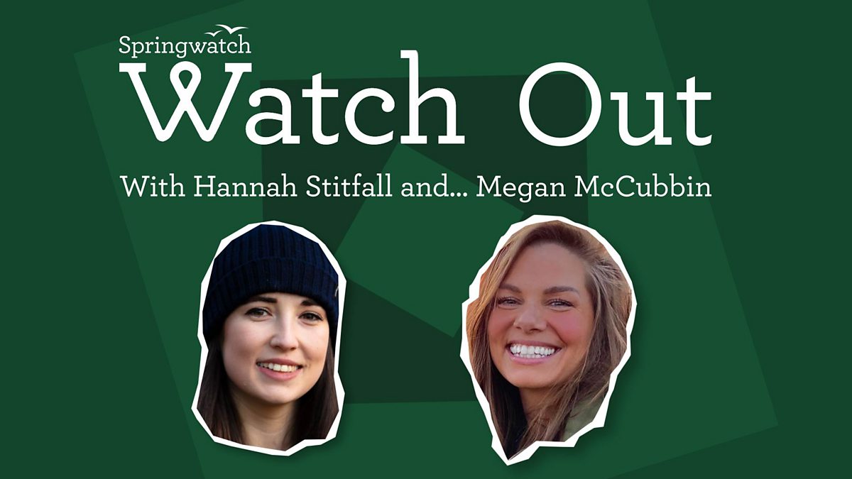 BBC Two - Springwatch, 2022, Watch Out with Hannah Stitfall and ...