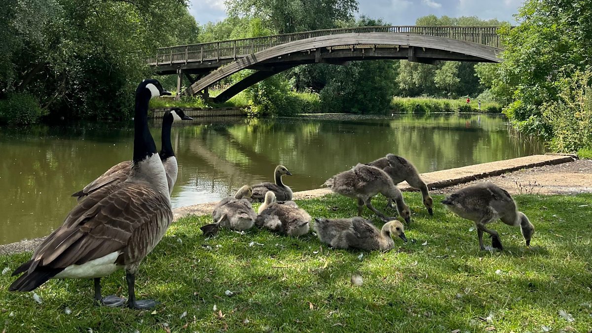 BBC Three Counties Radio - Kady Braine, Sunday stroll with Luke Larner ...