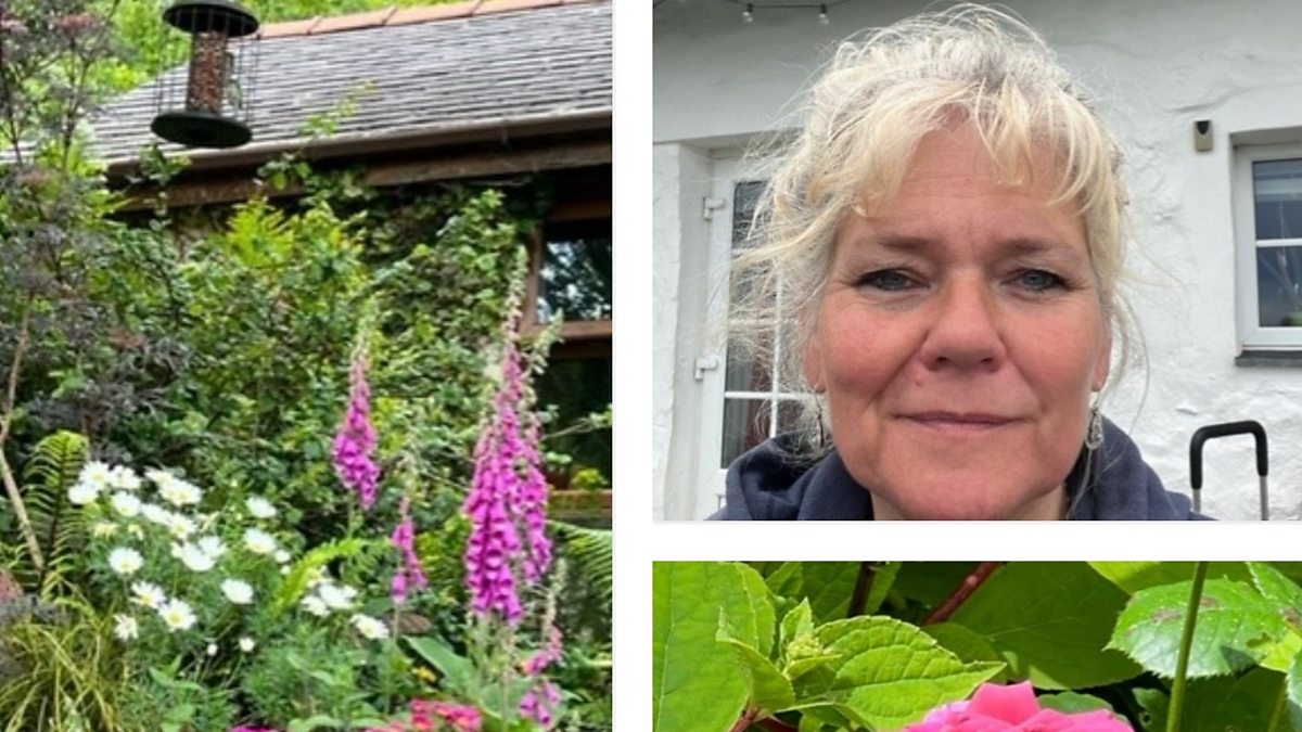 BBC Radio Cymru - Bore Cothi, Carol Garddio - Wythnos Ymwybyddiaeth Rhosod.