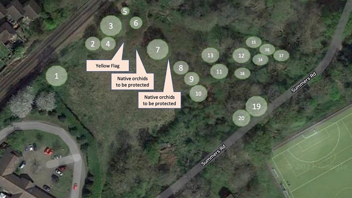 BBC Radio Surrey - James Cannon, 23/06/2022, Farncombe Community Garden