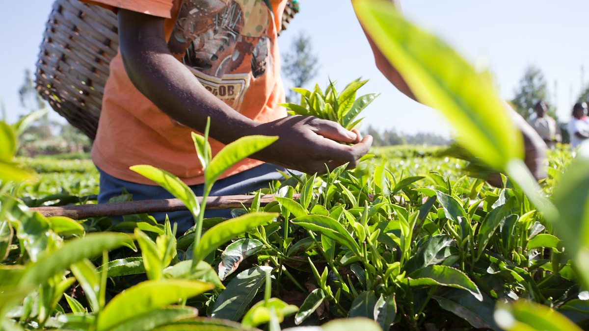 BBC World Service - Business Daily, Cost of living: Farmers and food ...