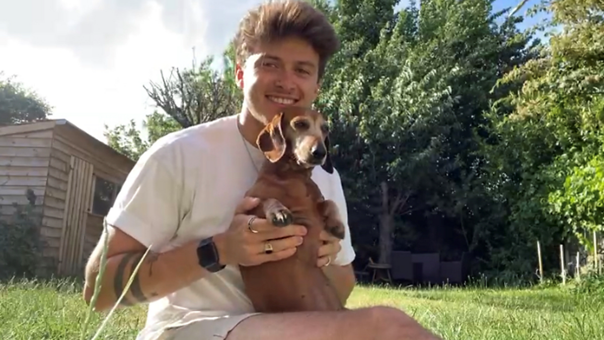 BBC Radio Suffolk - Luke Deal, Could your dog work at Wimbledon