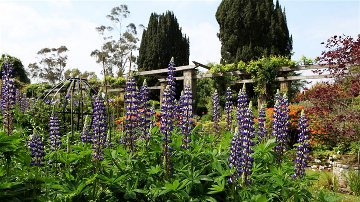 BBC Radio 4 - Gardeners' Question Time, Swiss Garden, Shuttleworth ...