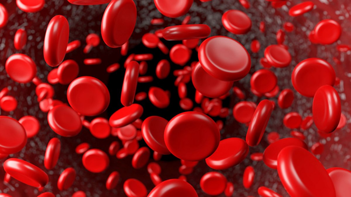 BBC Radio 4 - Drama on 4, End of Transmission