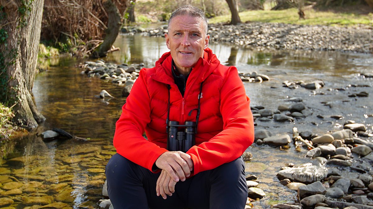 BBC One - Iolo: A Wild Life, Series 1 - Available now