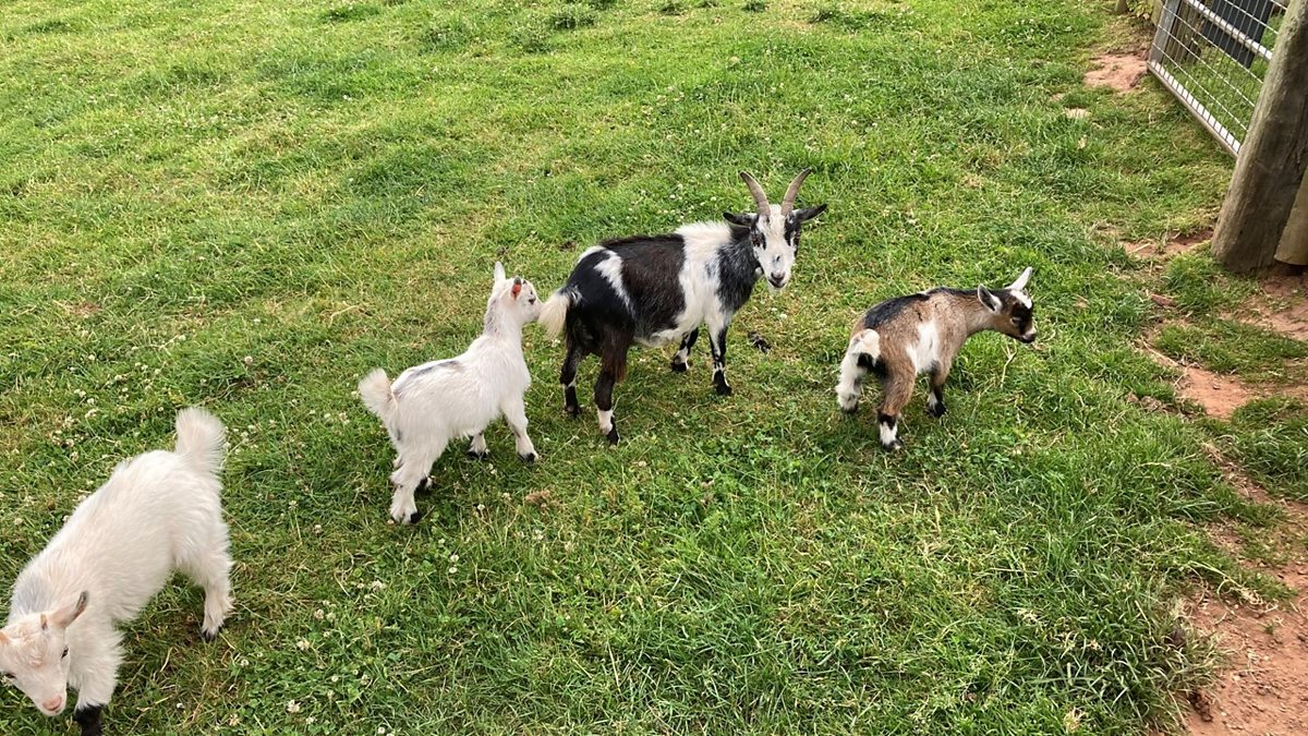 BBC CWR - CWR Breakfast with Phil Upton, 13/07/2022: Richard Williams ...