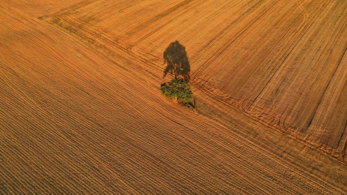 BBC World Service - The Documentary Podcast, OS Conversations: Drought