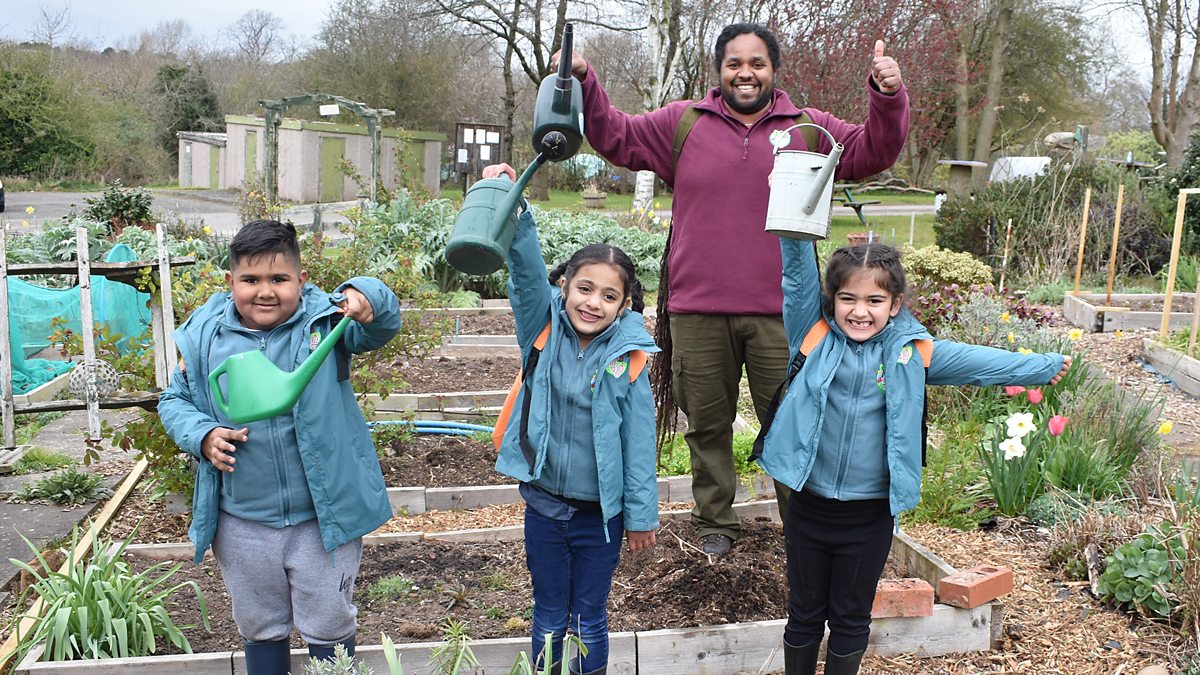 Ranger Hamzas Eco Quest - Series 1: 1. Allotments - BBC iPlayer