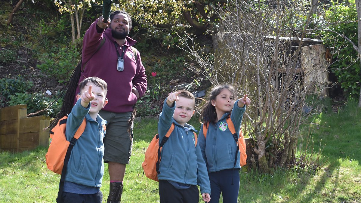 Ranger Hamzas Eco Quest - Series 1: 4. Wind - BBC iPlayer