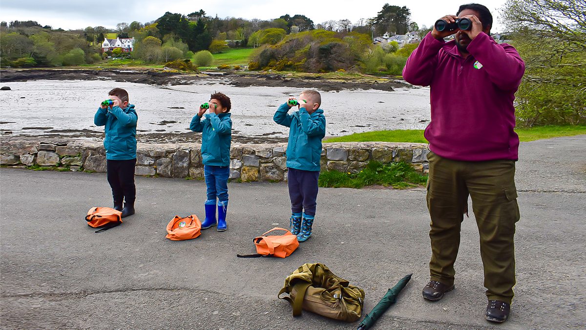 Ranger Hamzas Eco Quest - Series 1: 7. Tides - BBC iPlayer