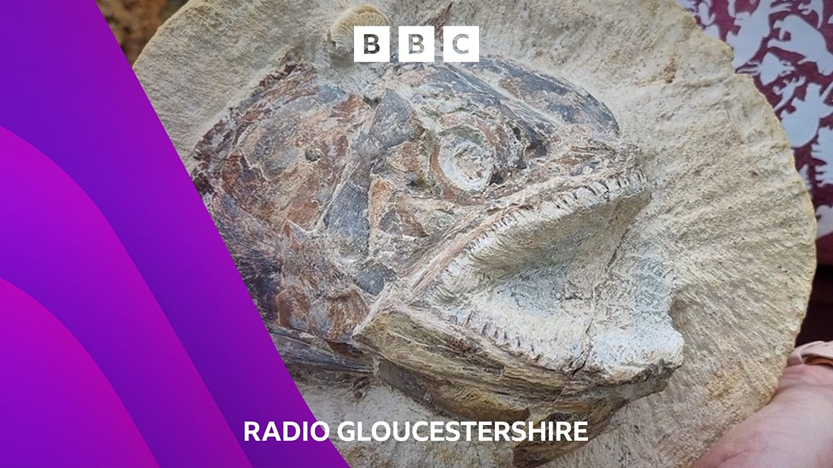 BBC Radio Gloucestershire - BBC Radio Gloucestershire, Meet the eye ...