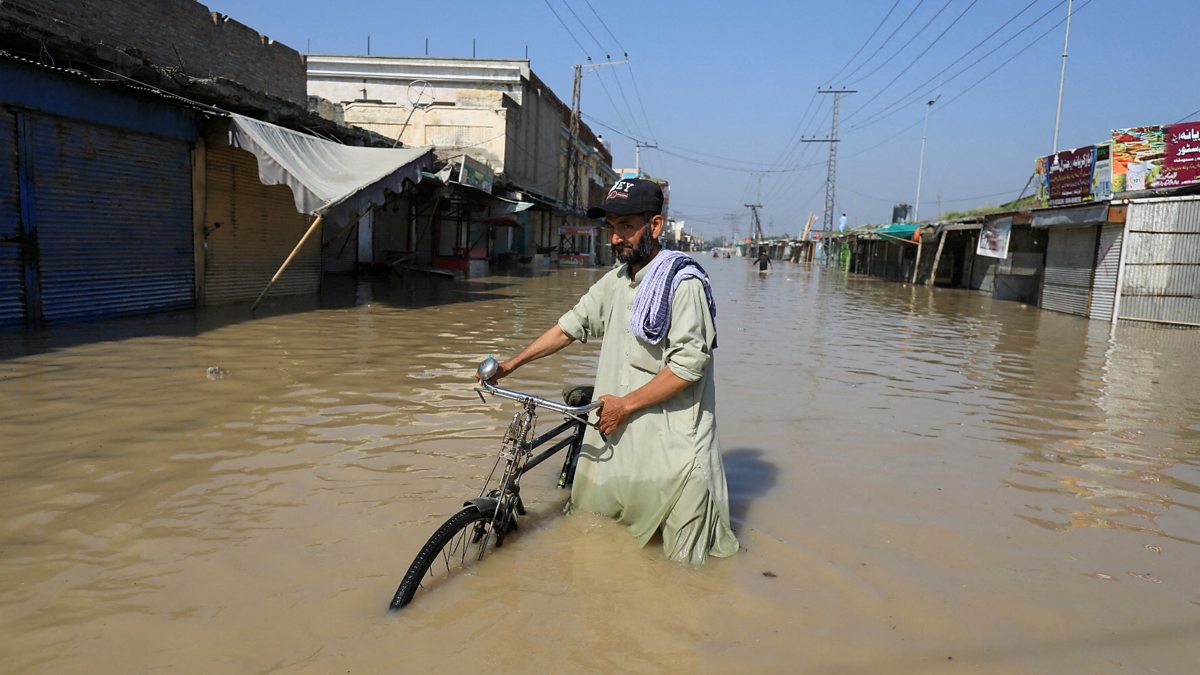 BBC World Service - Newsday, Pakistan floods: ’50 million people homeless’