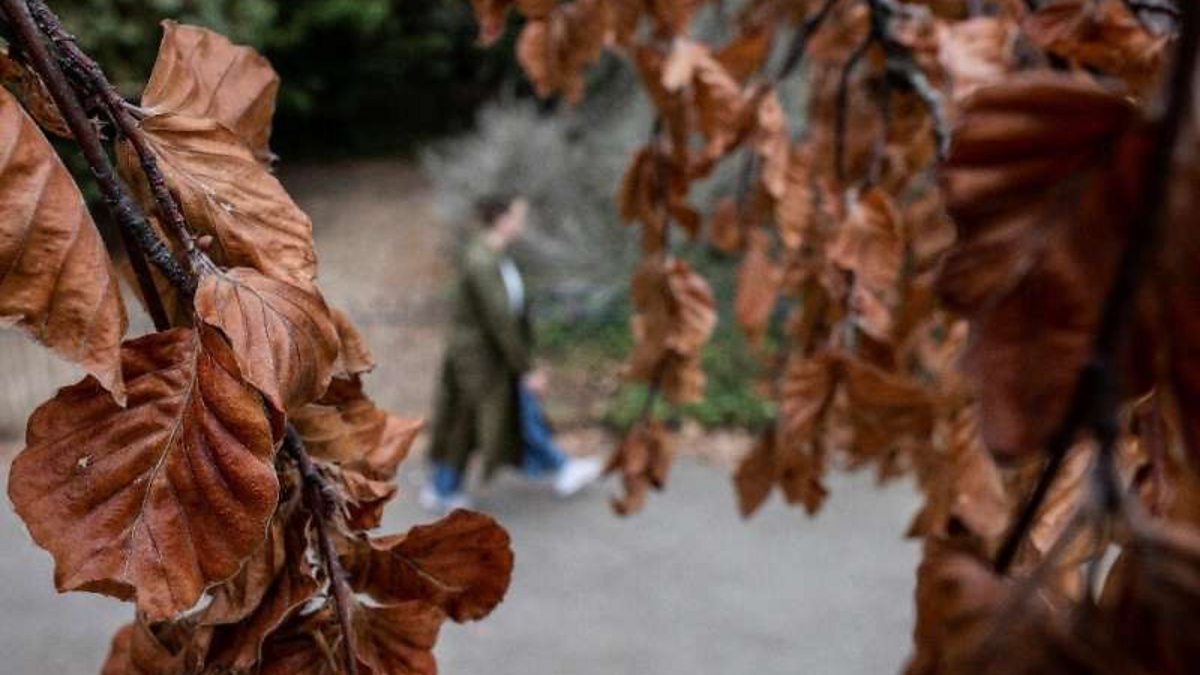 BBC Radio Leeds - Richard Stead, "False Autumn" in Leeds