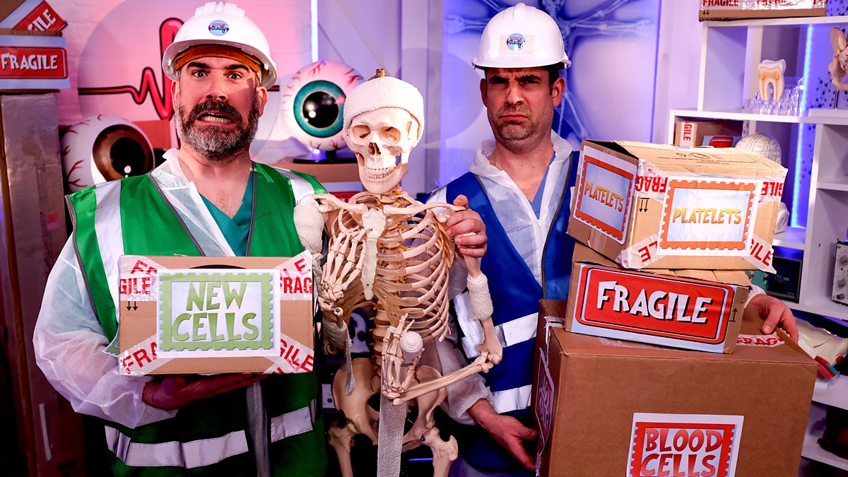 Operation Ouch Series 11 6 Mouth V Knee Bbc Iplayer