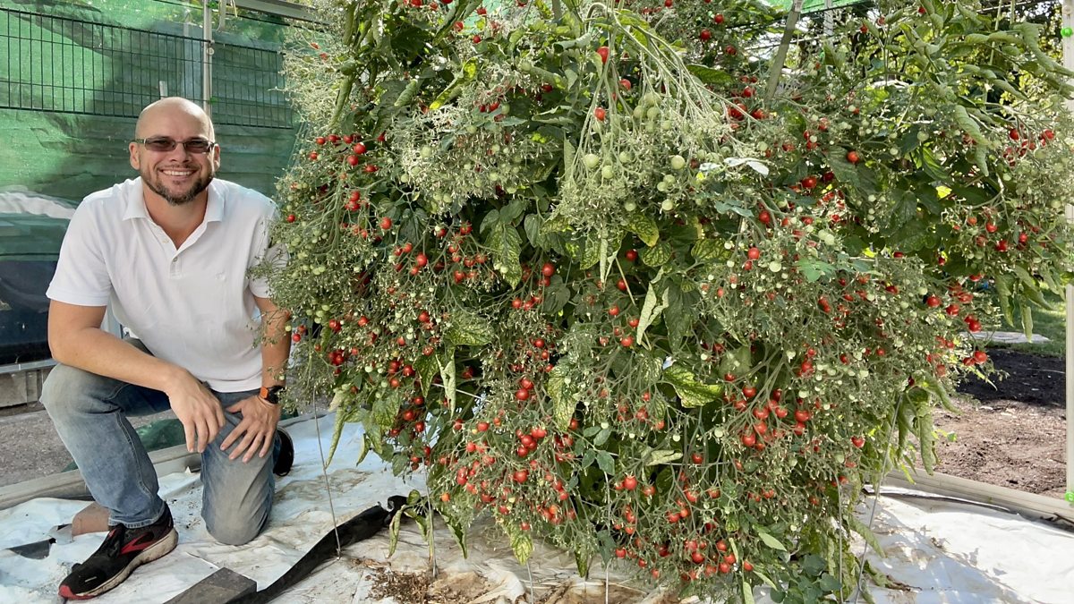 BBC Three Counties Radio - Roberto Perrone, Diana, 25 years on, your ...