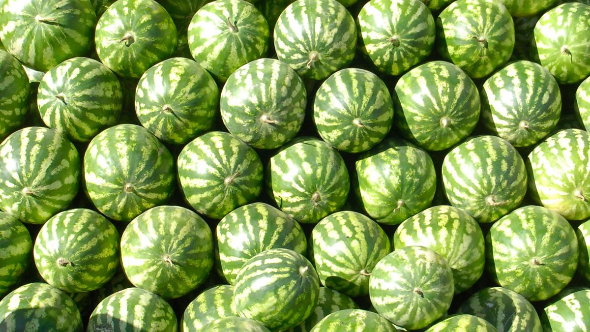 BBC World Service - The Fifth Floor, Reporting Pakistan's floods, Watermelons and Ukrainian ...