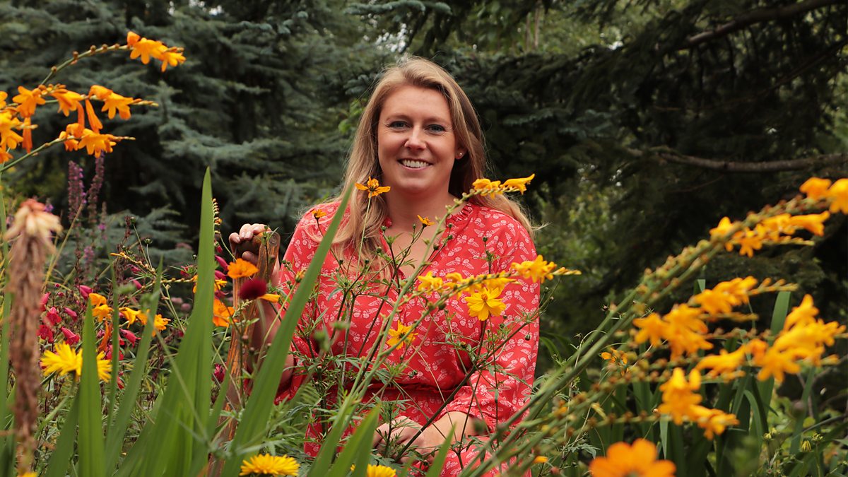 Beechgrove Garden - 2022: Episode 23 - BBC iPlayer