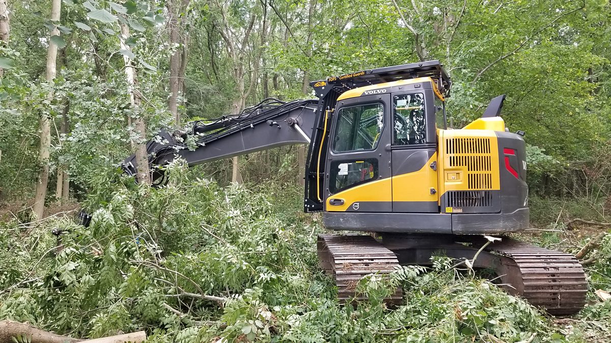 BBC Radio Cambridgeshire - The Great Outdoors, 04/09/2022, Waresley and ...