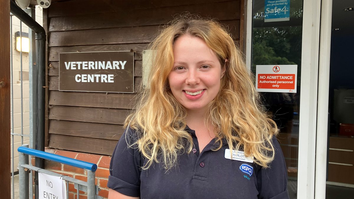 BBC Radio Solent - Alun Newman, Cost of living: 800 dogs dumped in ...