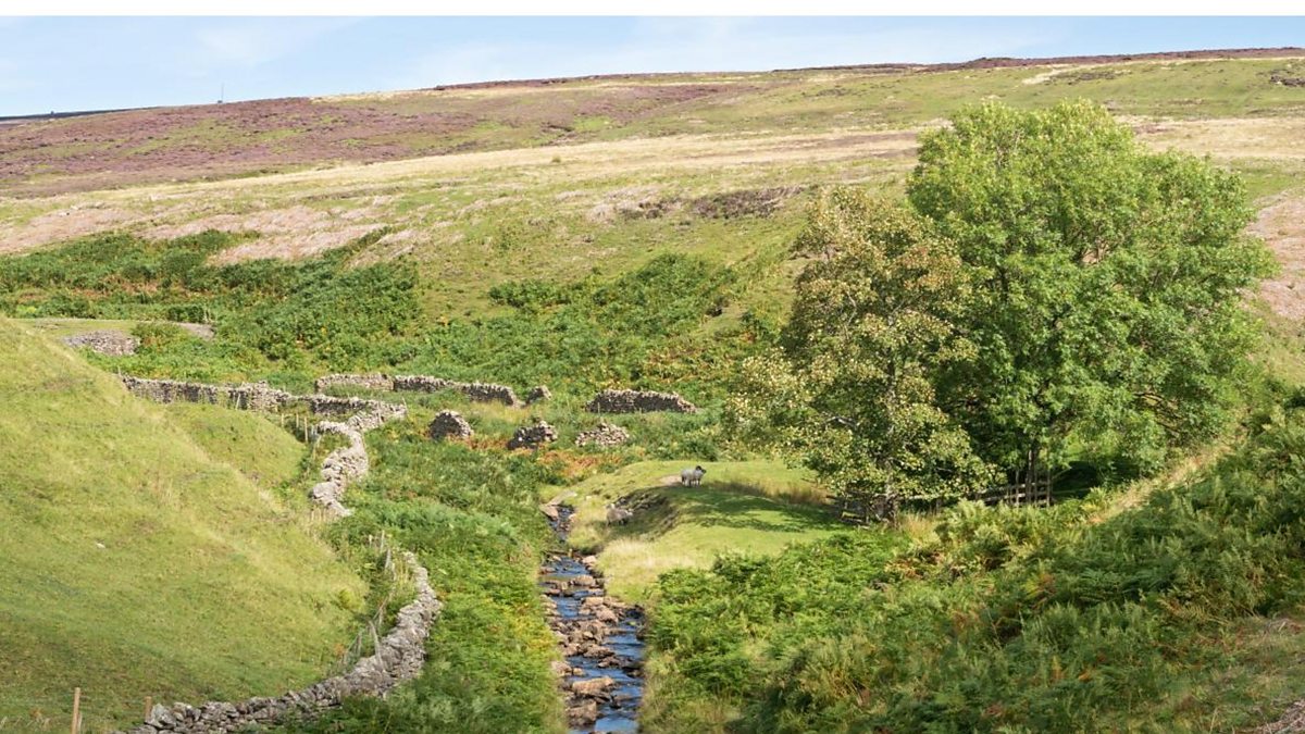 BBC Radio Tees - Gary Philipson, Support for isolated communites continues