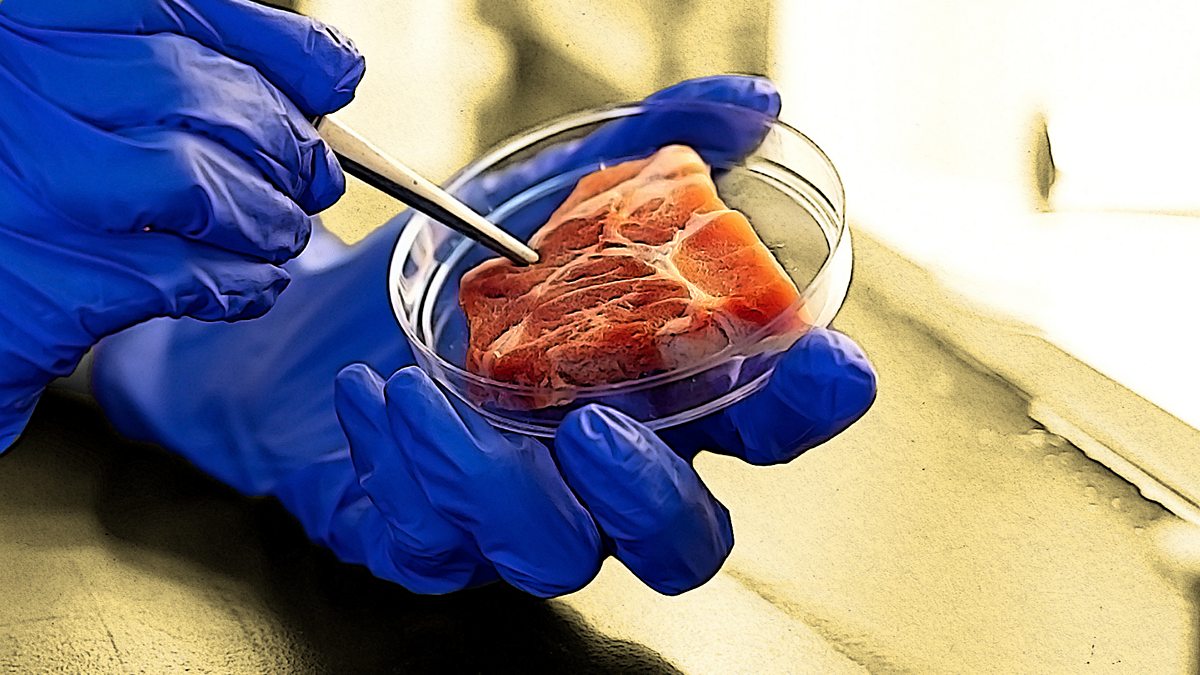 BBC World Service - The Food Chain, Inside food safety scares