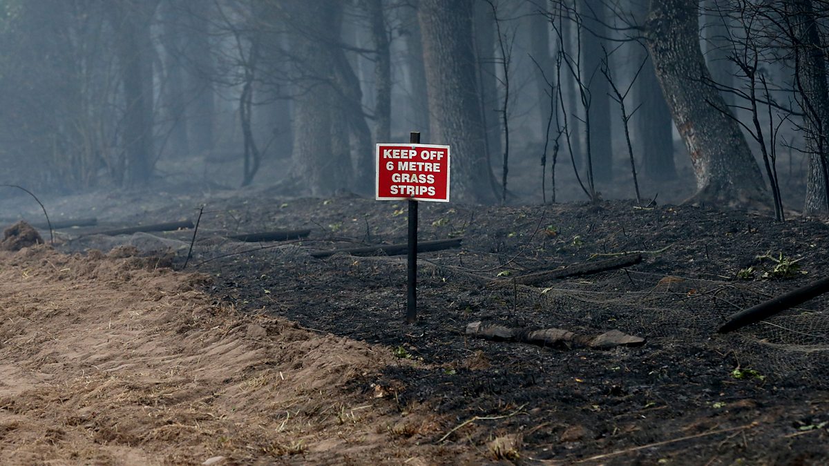 BBC Radio 4 - Net Zero: A Very British Problem, Food