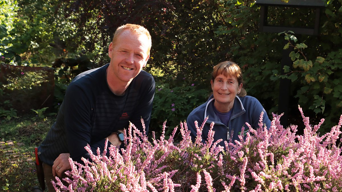 Beechgrove Garden - 2022: Episode 25 - BBC iPlayer
