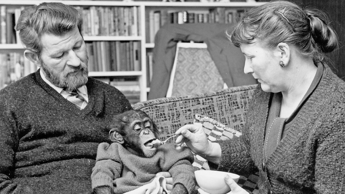 BBC Radio Scotland - 100 Years of Scottish Stories, Aberdeen Zoo and ...