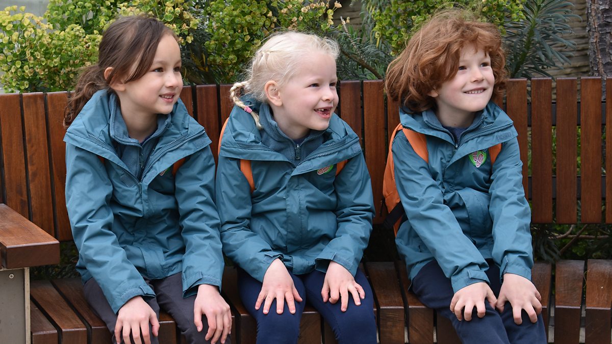 Ranger Hamzas Eco Quest - Series 1: 11. City Parks - BBC iPlayer