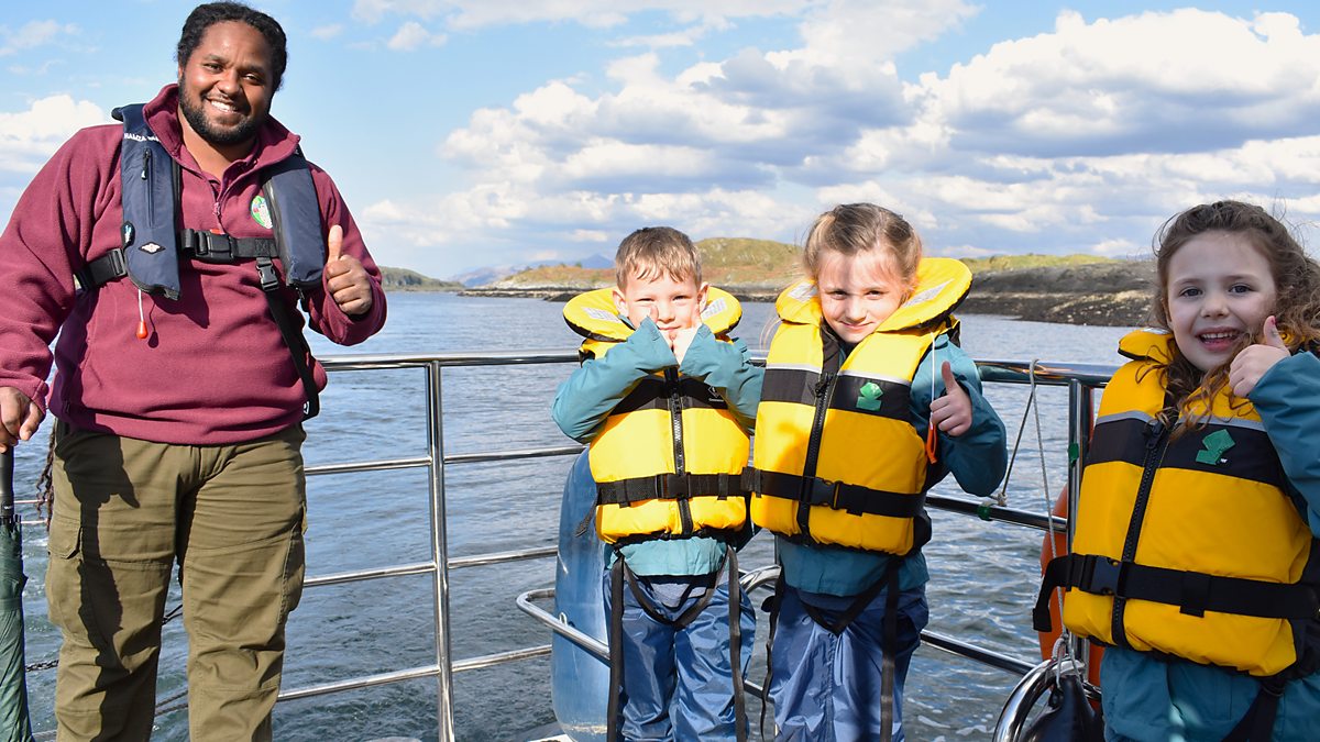 Ranger Hamzas Eco Quest - Series 1: 13. Seals - BBC iPlayer