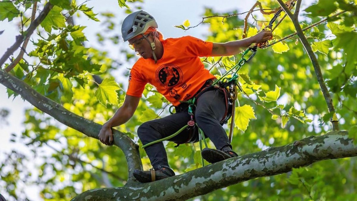 BBC Radio 4 - Woman's Hour, ‘I don’t think people realise the wellbeing that trees give you’