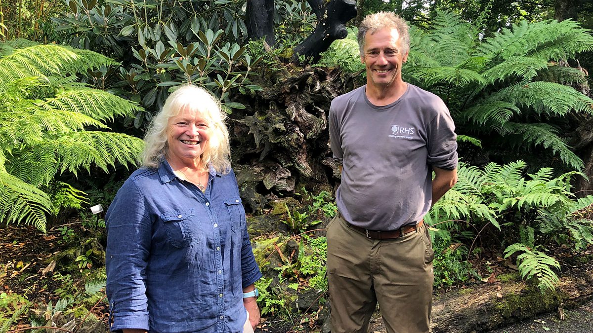 BBC Radio 4 - Gardeners' Question Time, RHS Rosemoor
