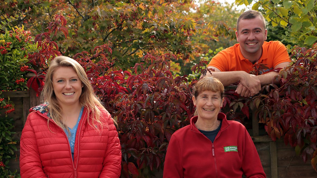 Beechgrove Garden - 2022: Episode 26 - BBC iPlayer