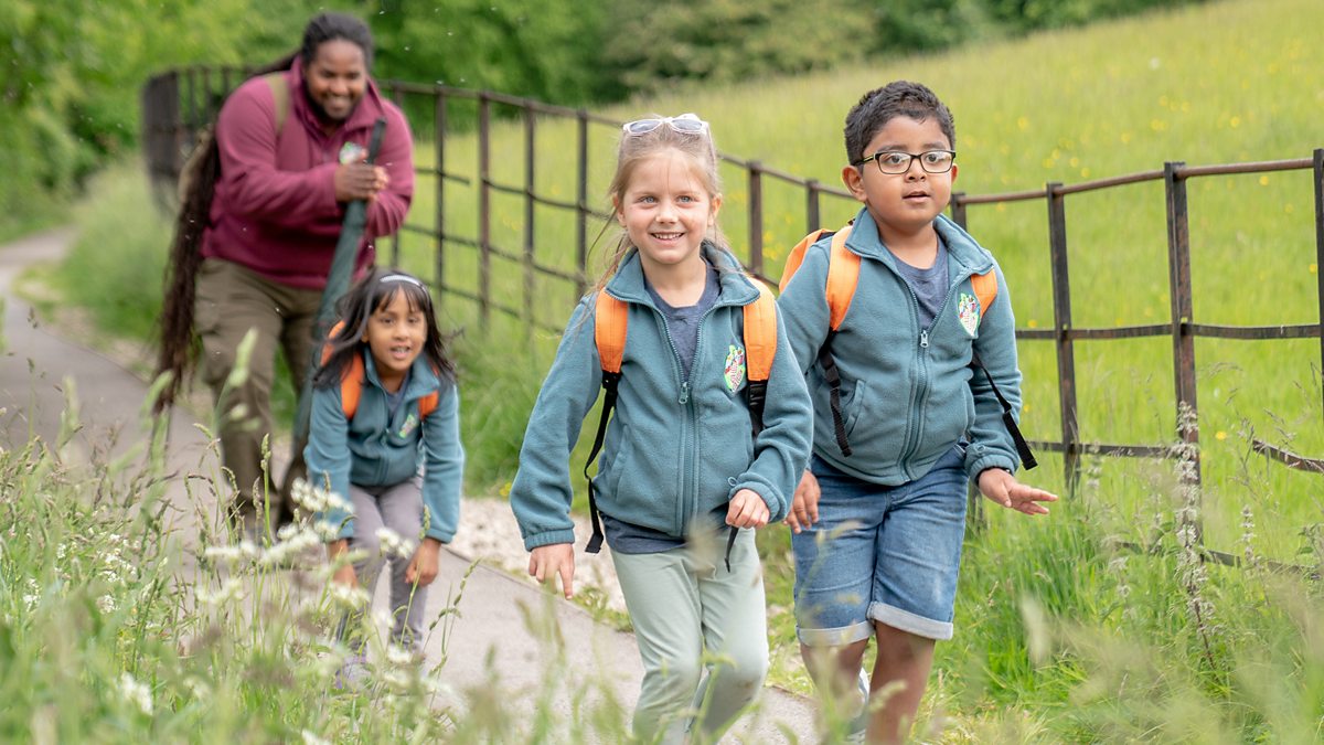 Ranger Hamzas Eco Quest - Series 1: 17. Water Lilies - BBC iPlayer