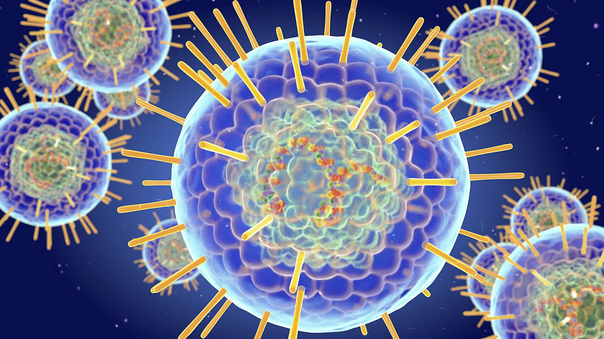 BBC World Service - Newshour, Cancer-killing virus shows promise for a ...