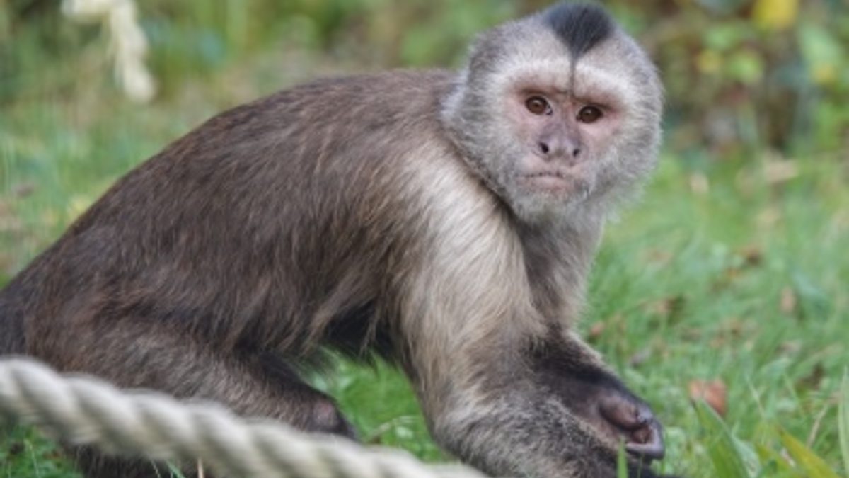 BBC Radio Cornwall - Julie Skentelbery, Jack Murley sits in (11/10/2022 ...