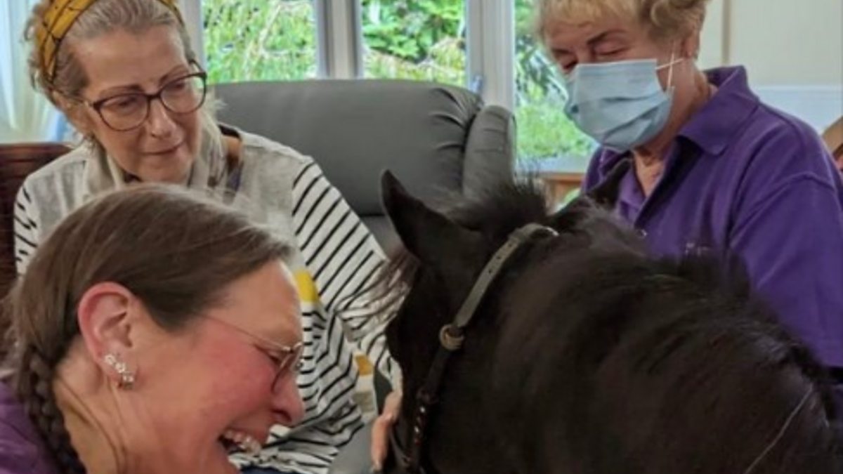 BBC Radio Tees - Neil Green, It's Hospice Care Week