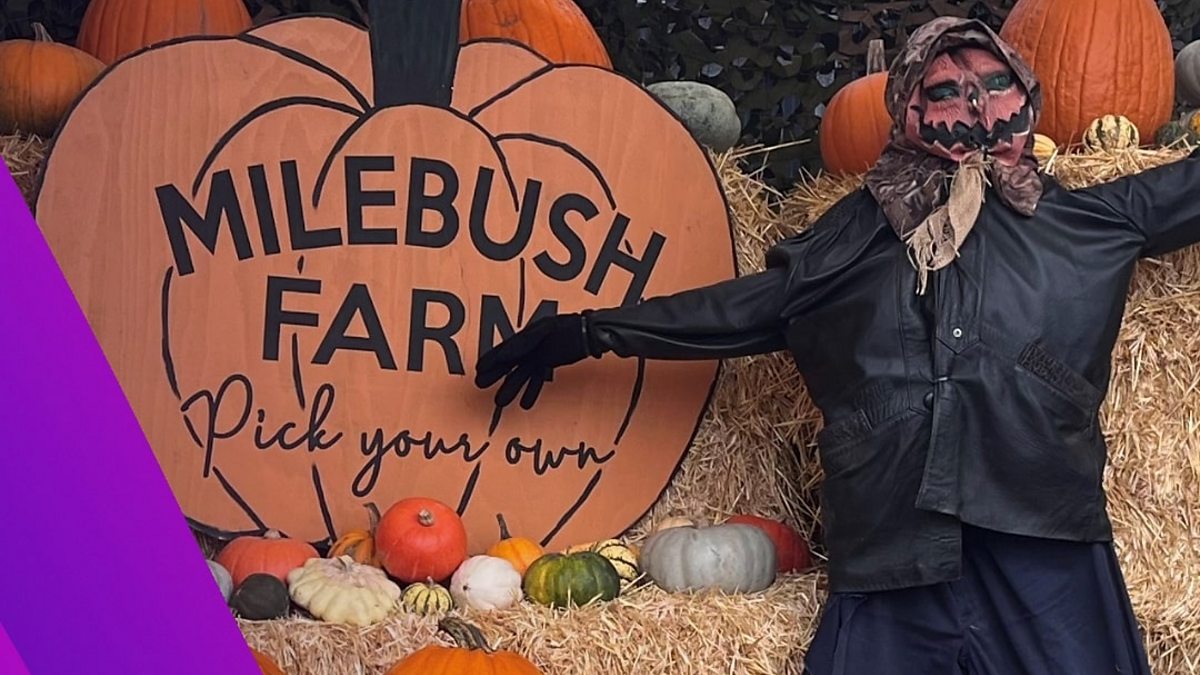 BBC Radio Kent - BBC Radio Kent, What makes the perfect Halloween pumpkin?