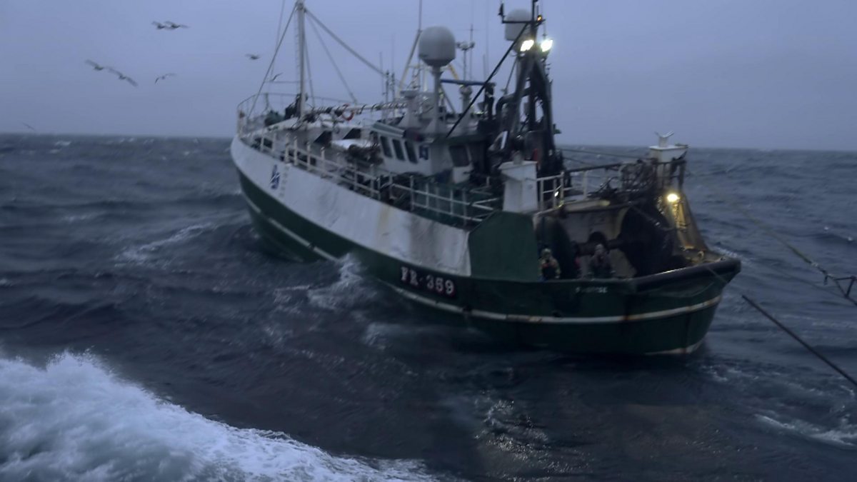 BBC One - Trawlermen: Hunting the Catch, Series 1, The Race, Trainee Skipper onboard the Budding ...