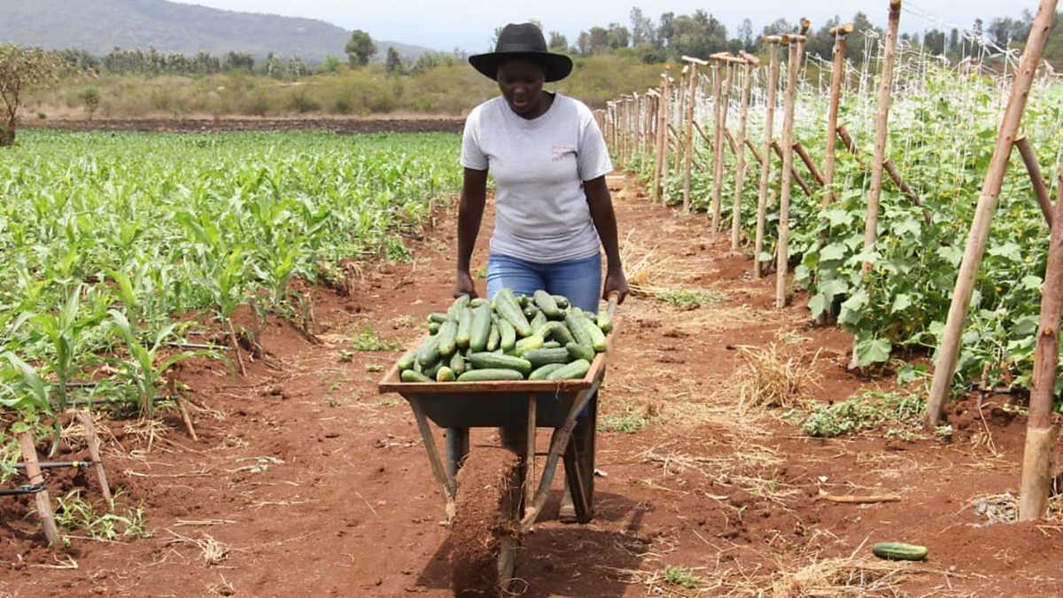 BBC World Service - Business Daily, How social media is changing ...